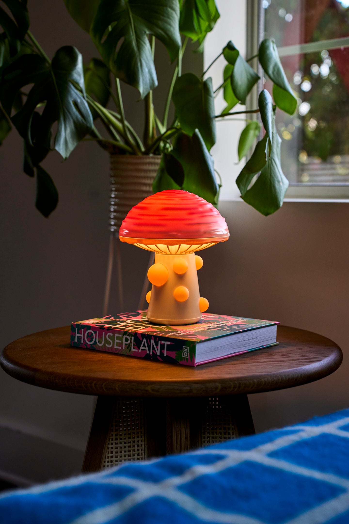 Lifestyle – Tiny Protectors | Official Store