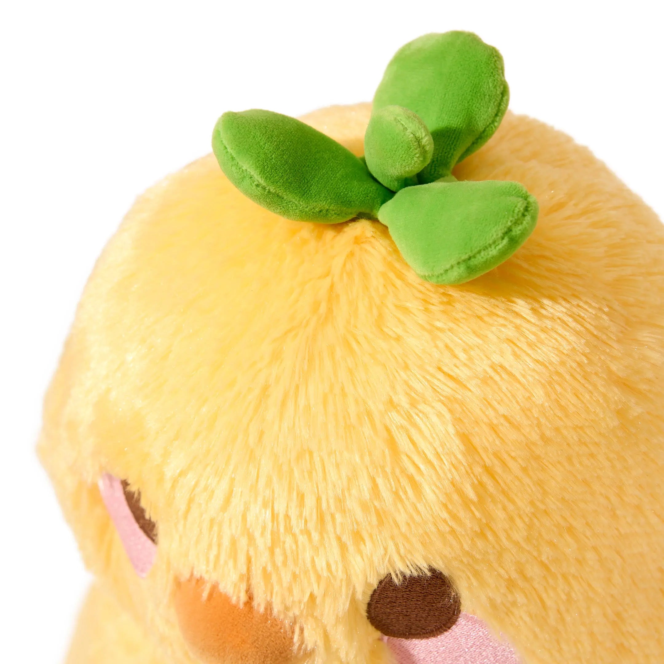 Cheese Plush – Tiny Protectors | Official Store